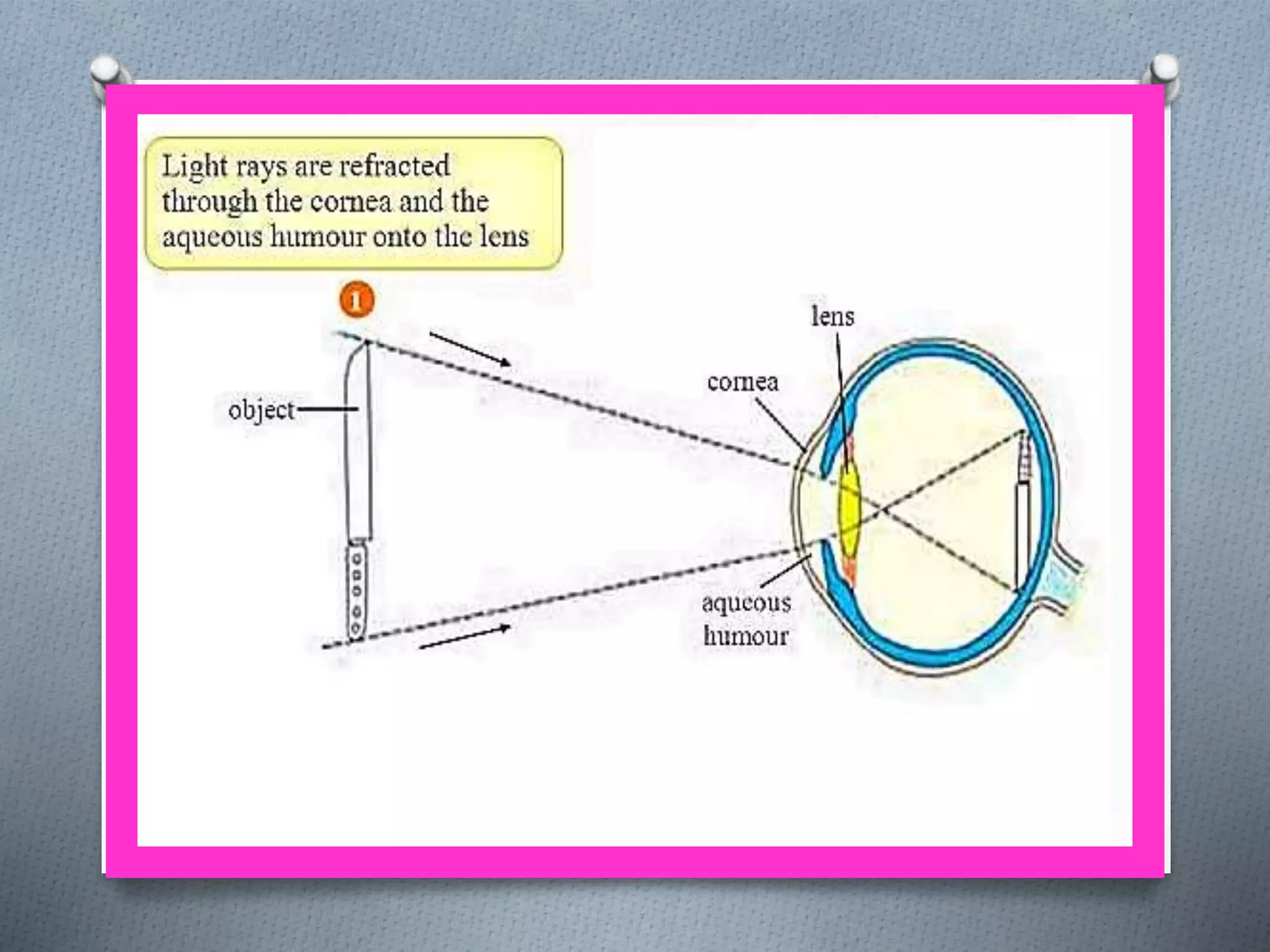 Optics of ocular structure | PPTX