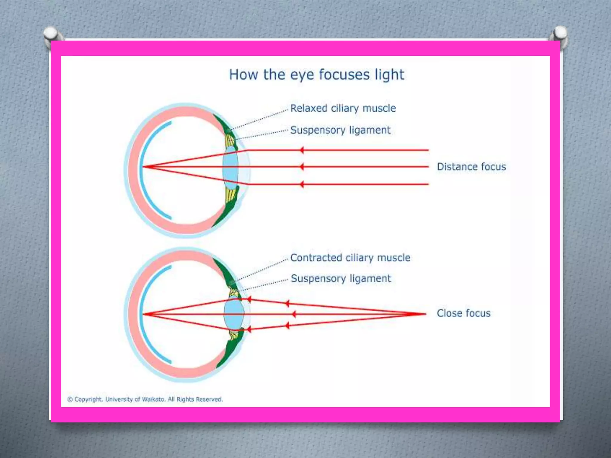Optics of ocular structure | PPTX