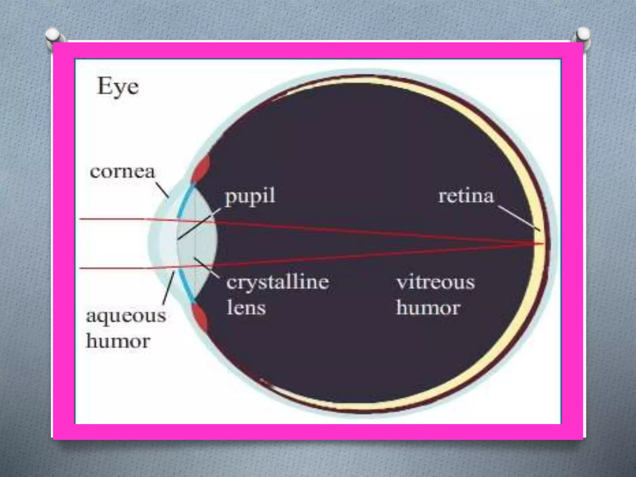 Optics of ocular structure | PPTX