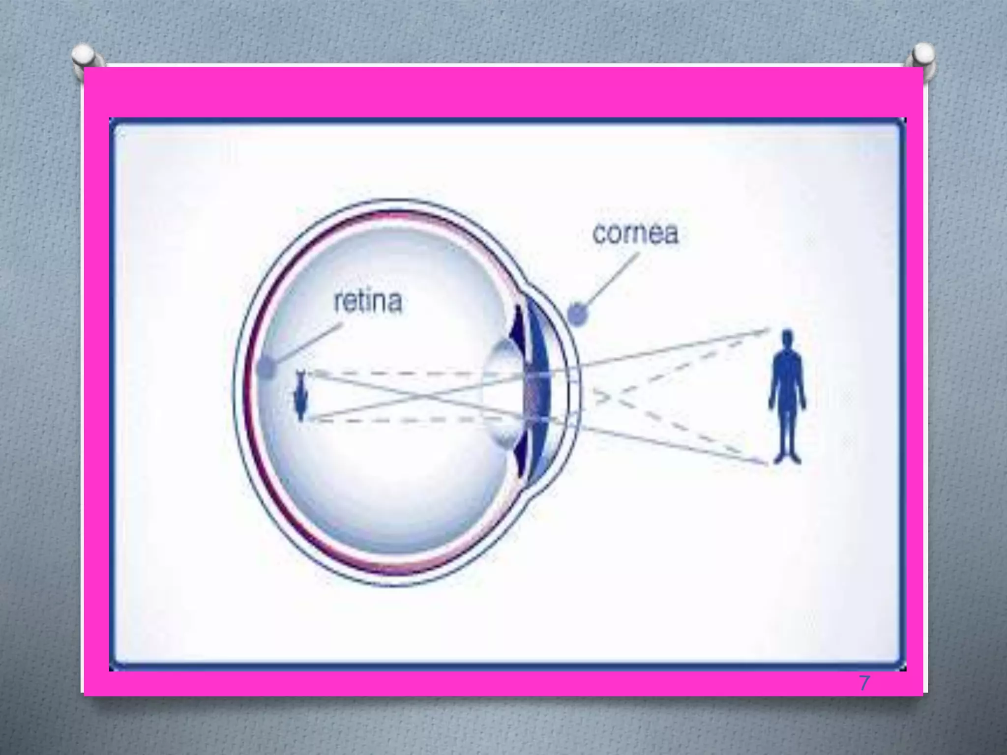 Optics of ocular structure | PPTX