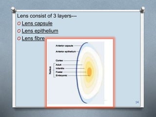 Optics of ocular structure | PPTX