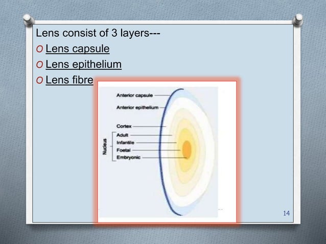 Optics of ocular structure | PPTX