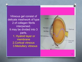 Optics of ocular structure | PPTX