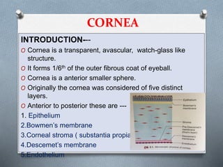 Optics of ocular structure | PPTX