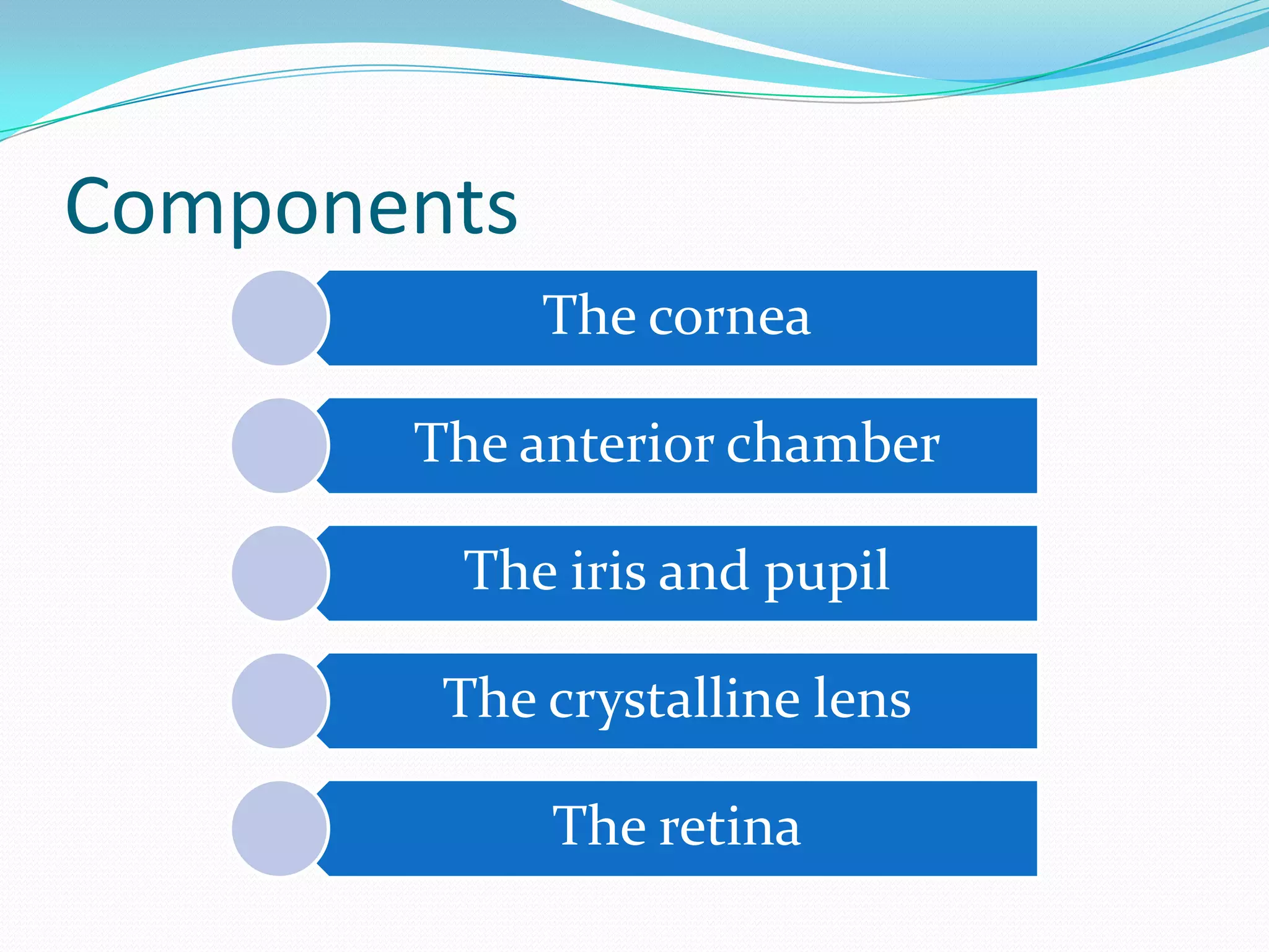 OPTICS OF HUMAN EYE & REFRACTIVE ERRORS | PDF