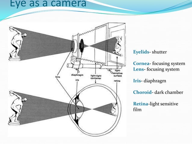 OPTICS OF HUMAN EYE & REFRACTIVE ERRORS | PDF | Eye and Vision Conditions | Diseases and Conditions