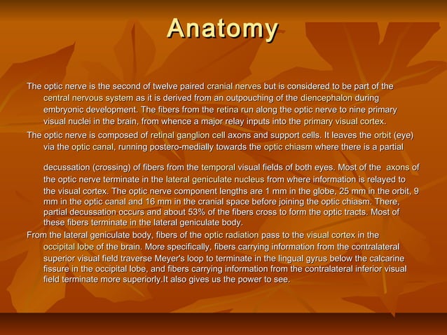 презентация Opticus | PPT