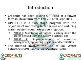 Optifert short | PPT