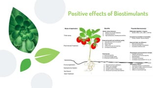 Presentation about Plant growth Stimulan | PPTX