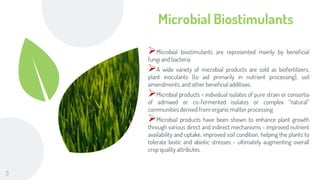 Presentation about Plant growth Stimulan | PPTX