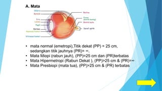 FISIKA "Optik" | PPTX