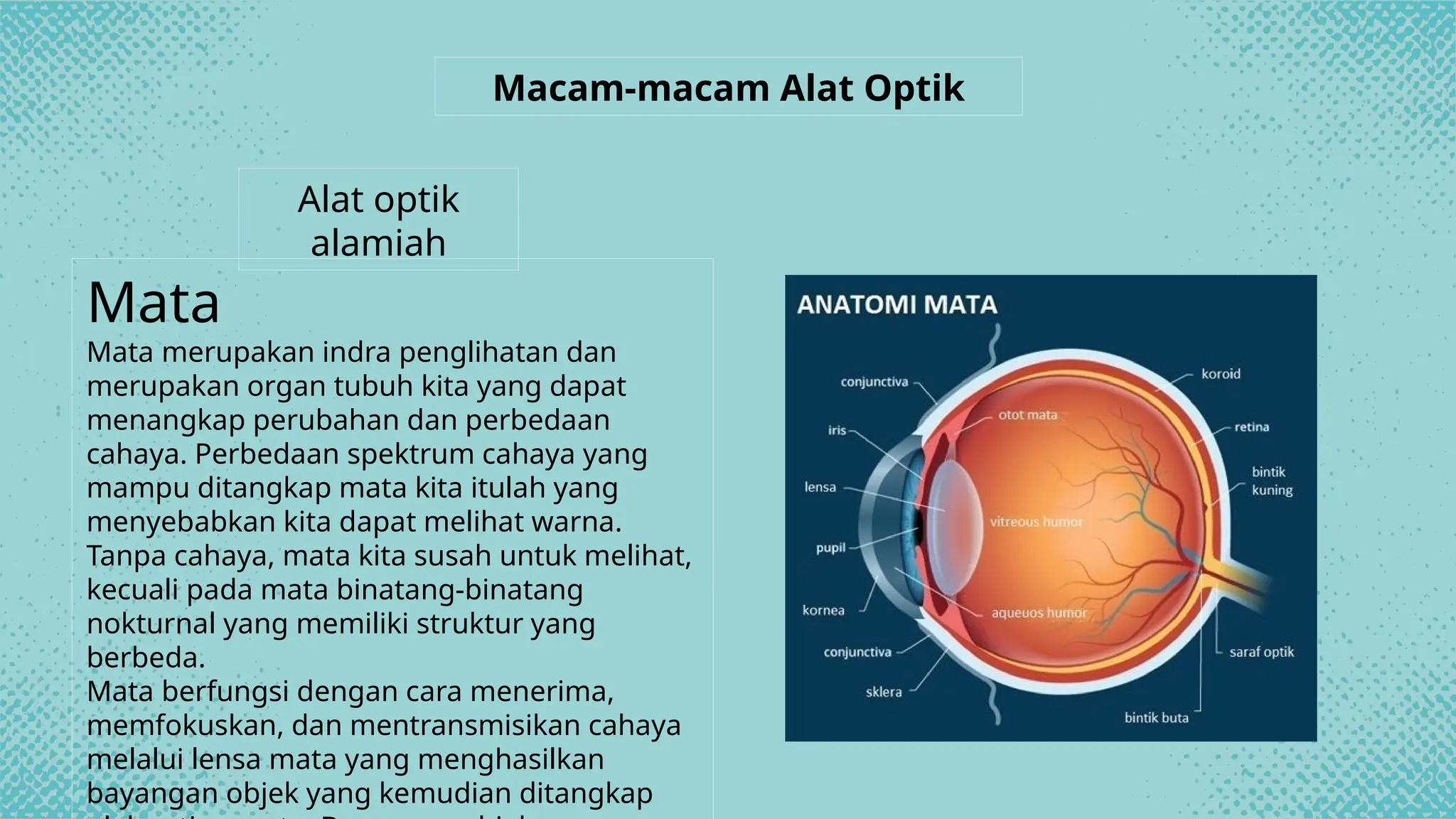 Pengenalan alat optik untuk pembelajaran kelas 8 | PPTX