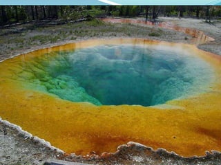 Optik disk konjenital anomalileri | PPTX