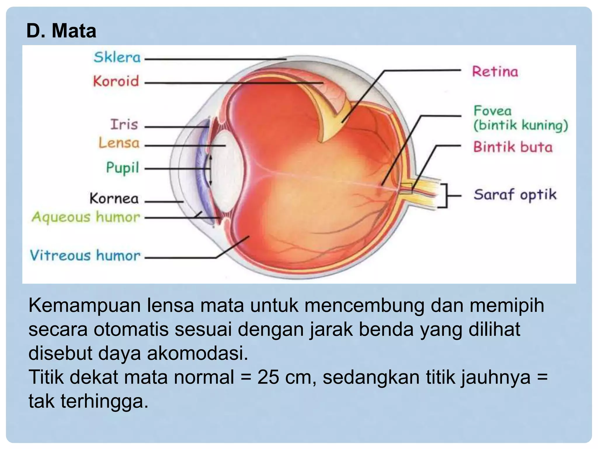 Optik fisis dan geometri | PPTX