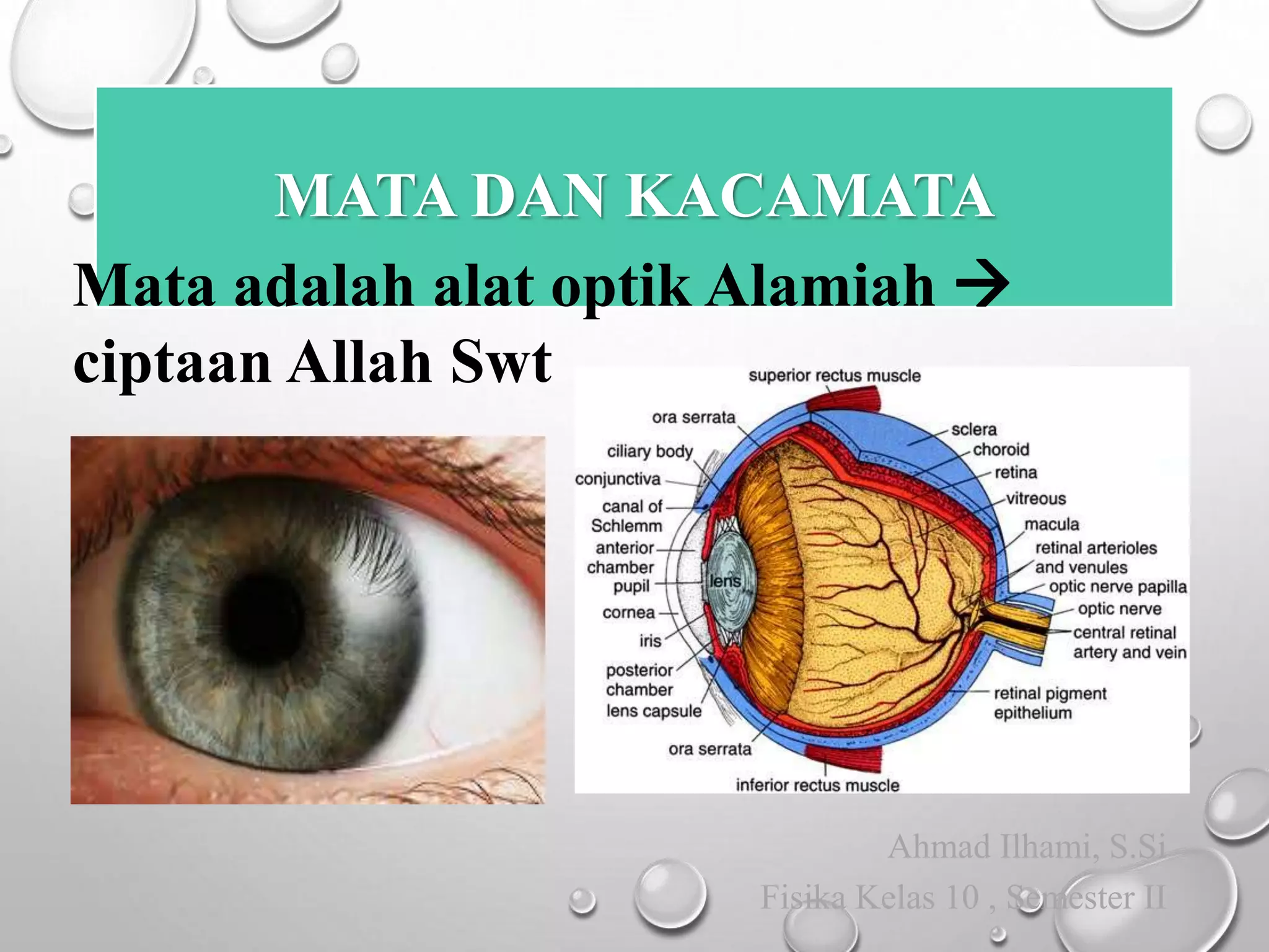 Optik Geometri Fisika X semester 2 | PPTX