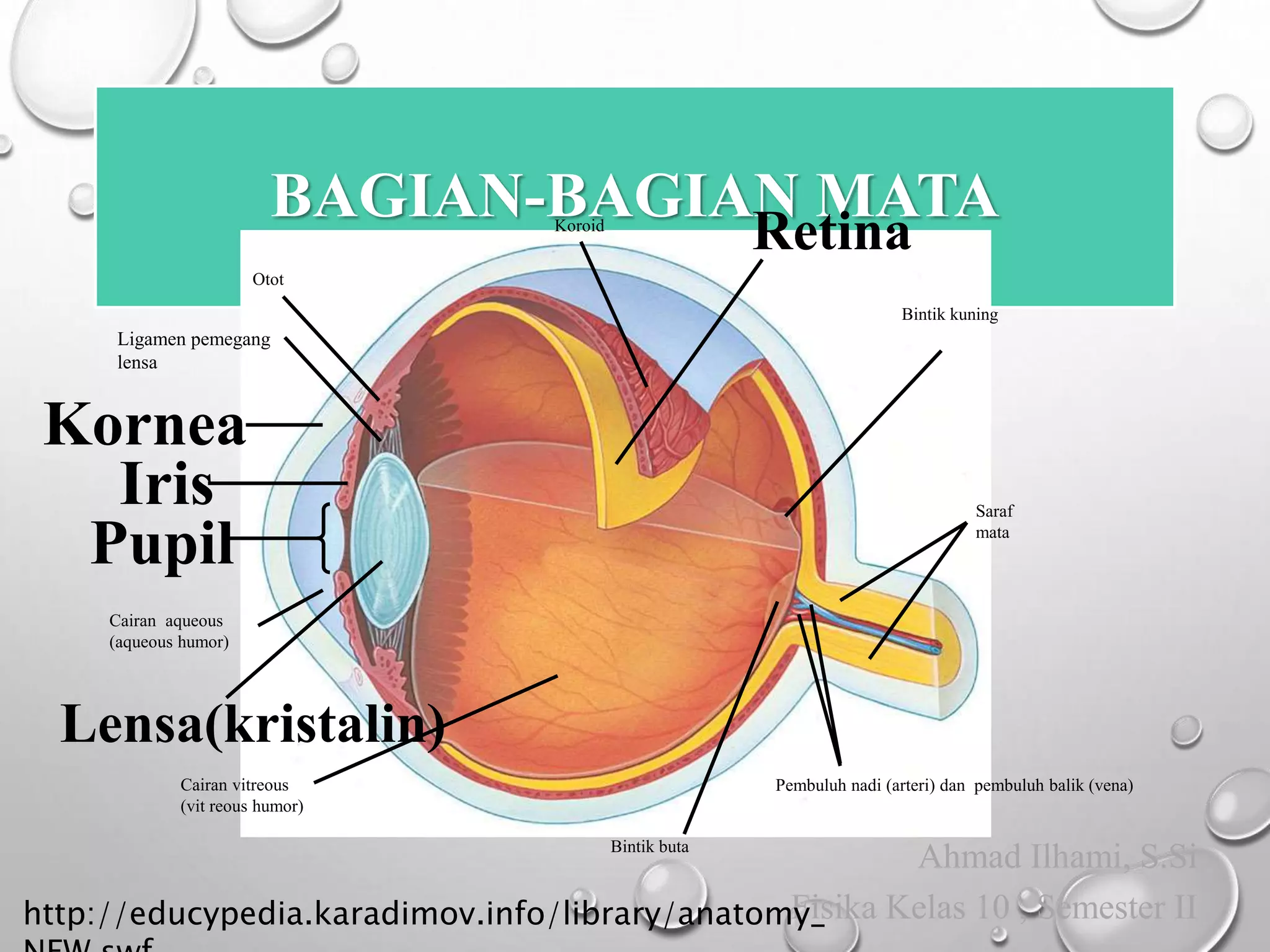 Optik Geometri Fisika X semester 2 | PPTX
