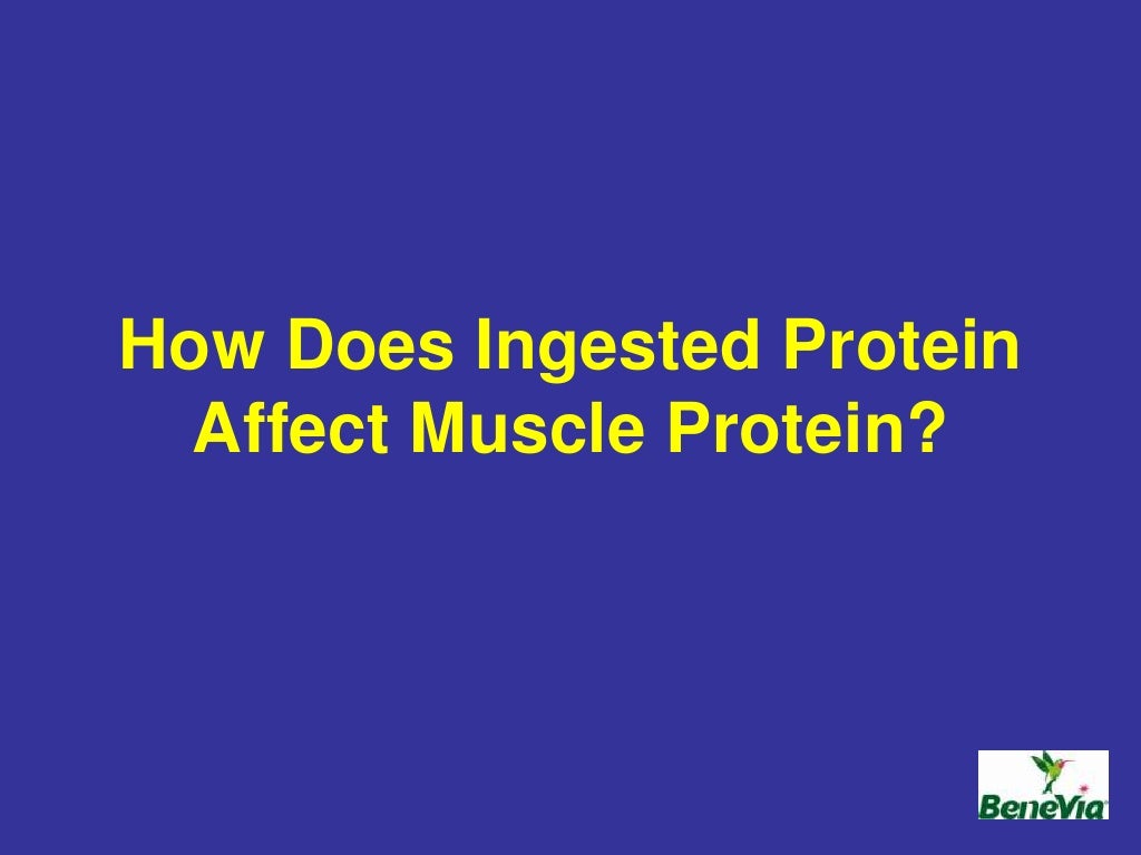 Optimal Protein Intake & The Recommended Daily Allowance (RDA)