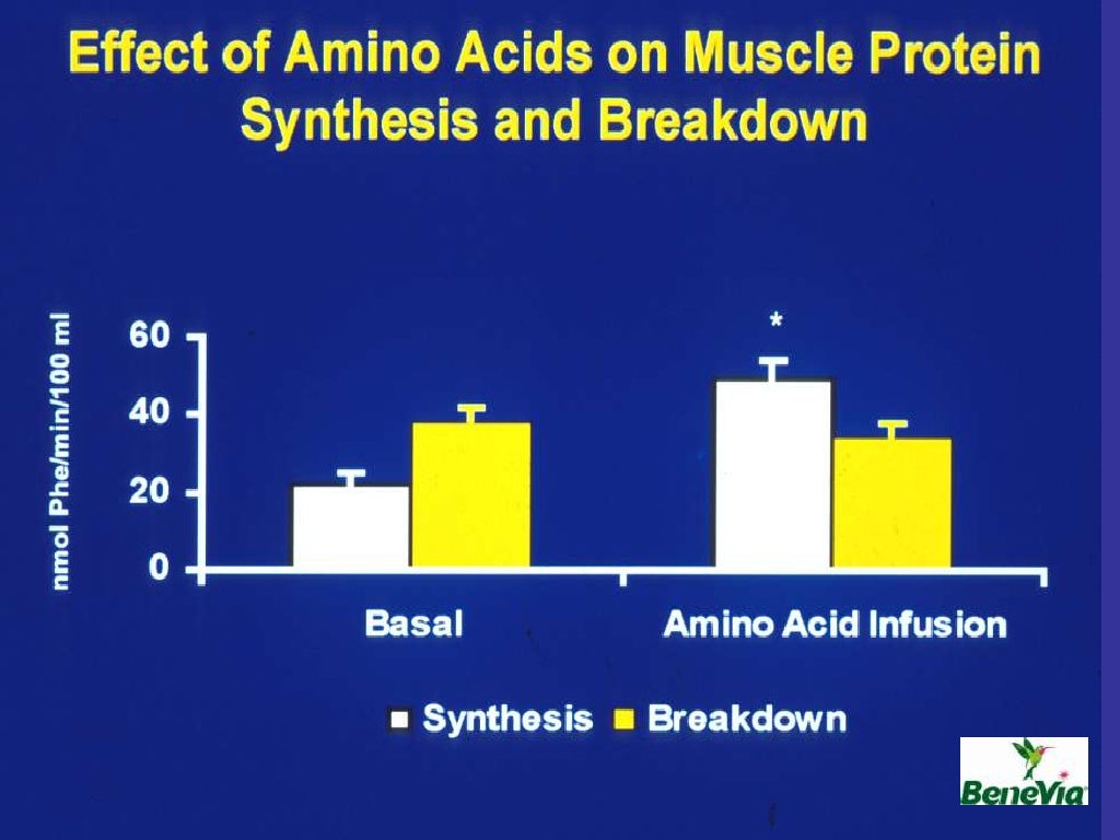 Optimal Protein Intake & The Recommended Daily Allowance (RDA)