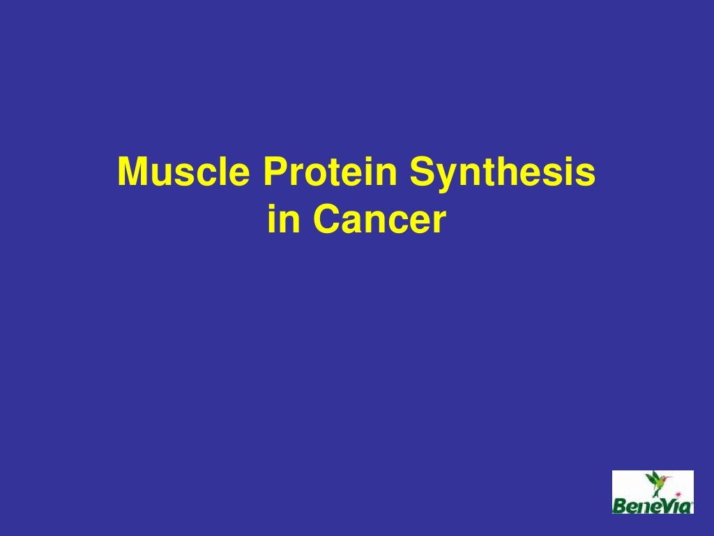 Optimal Protein Intake & The Recommended Daily Allowance (RDA)