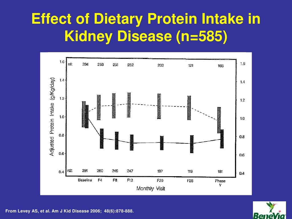 Optimal Protein Intake & The Recommended Daily Allowance (RDA)