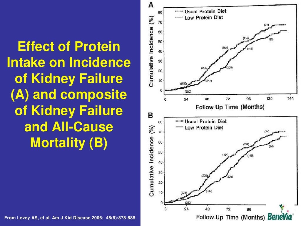 Optimal Protein Intake & The Recommended Daily Allowance (RDA)