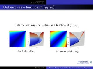 Optimal Transport vs. Fisher-Rao distance between Copulas | PDF | Physics | Science