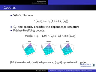 Optimal Transport vs. Fisher-Rao distance between Copulas | PDF | Physics | Science