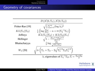 Optimal Transport vs. Fisher-Rao distance between Copulas | PDF | Physics | Science