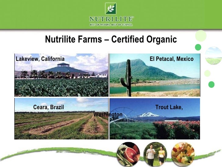 Optimal Health 2 optimal-health-2