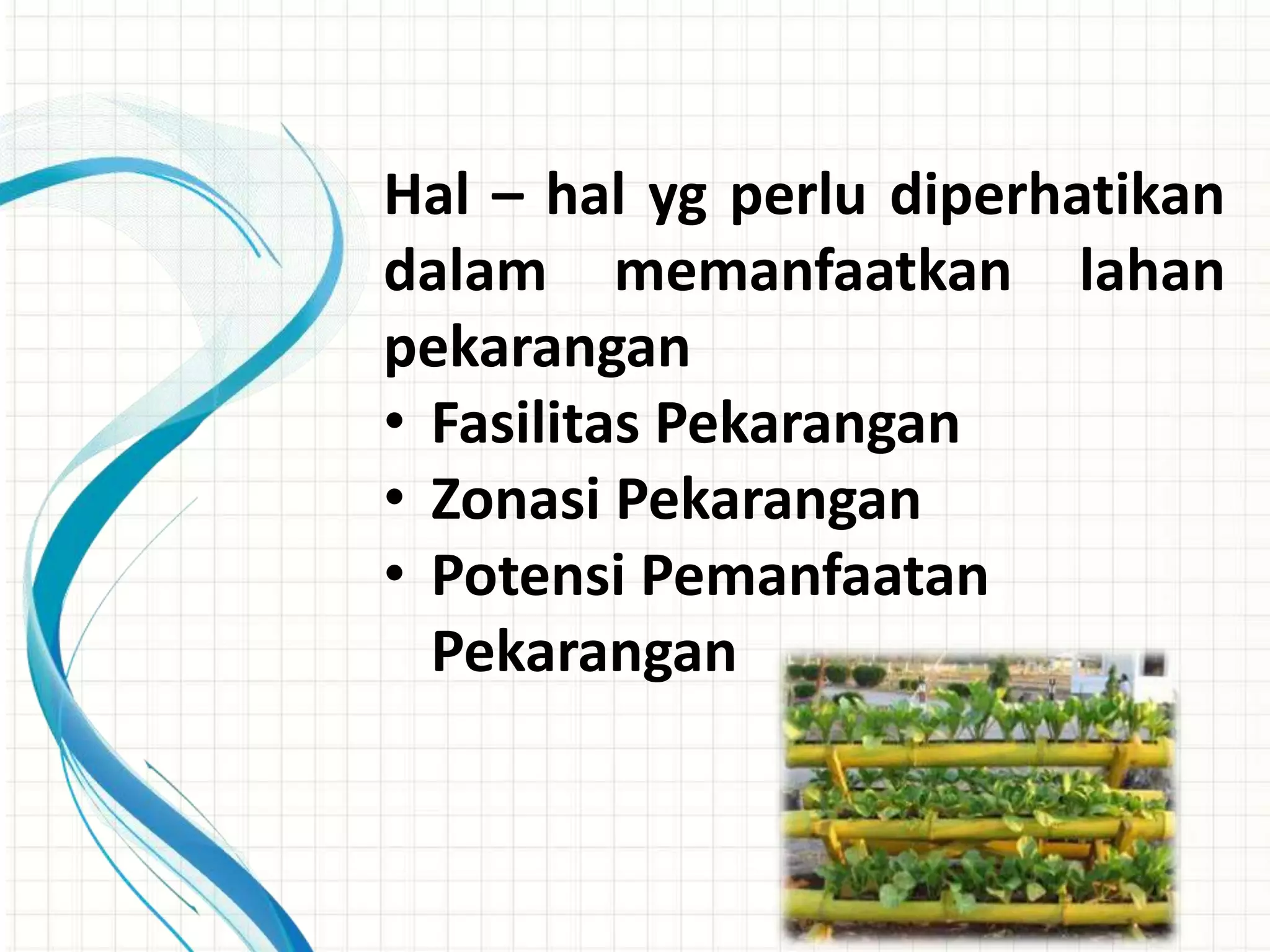 Optimalisasi pemanfaatan lahan pekarangan | PPTX