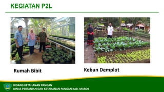 OPTIMALISASI PEMANFAATAN LAHAN PEKARANGAN KORLUH KABUPATEN.ppt