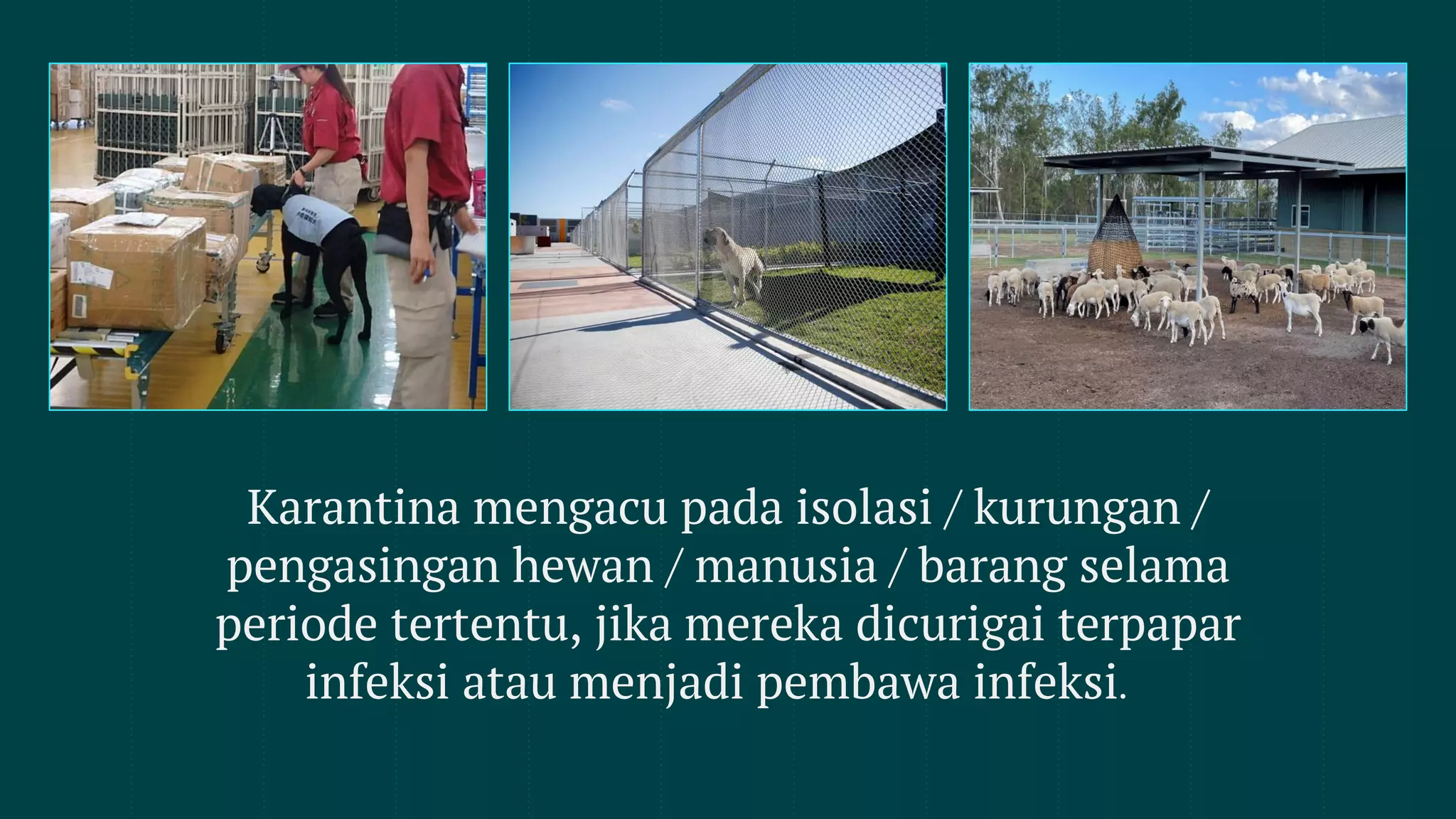 Optimalisasi Peran Karantina Hewan sebagai Otoritas Veteriner di ...