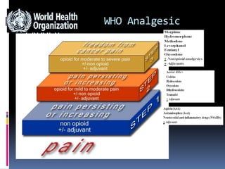 Optimalization of the 3 stepladder who | PPTX