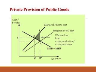 Optimal Provision of Public and Private Goods | PPTX