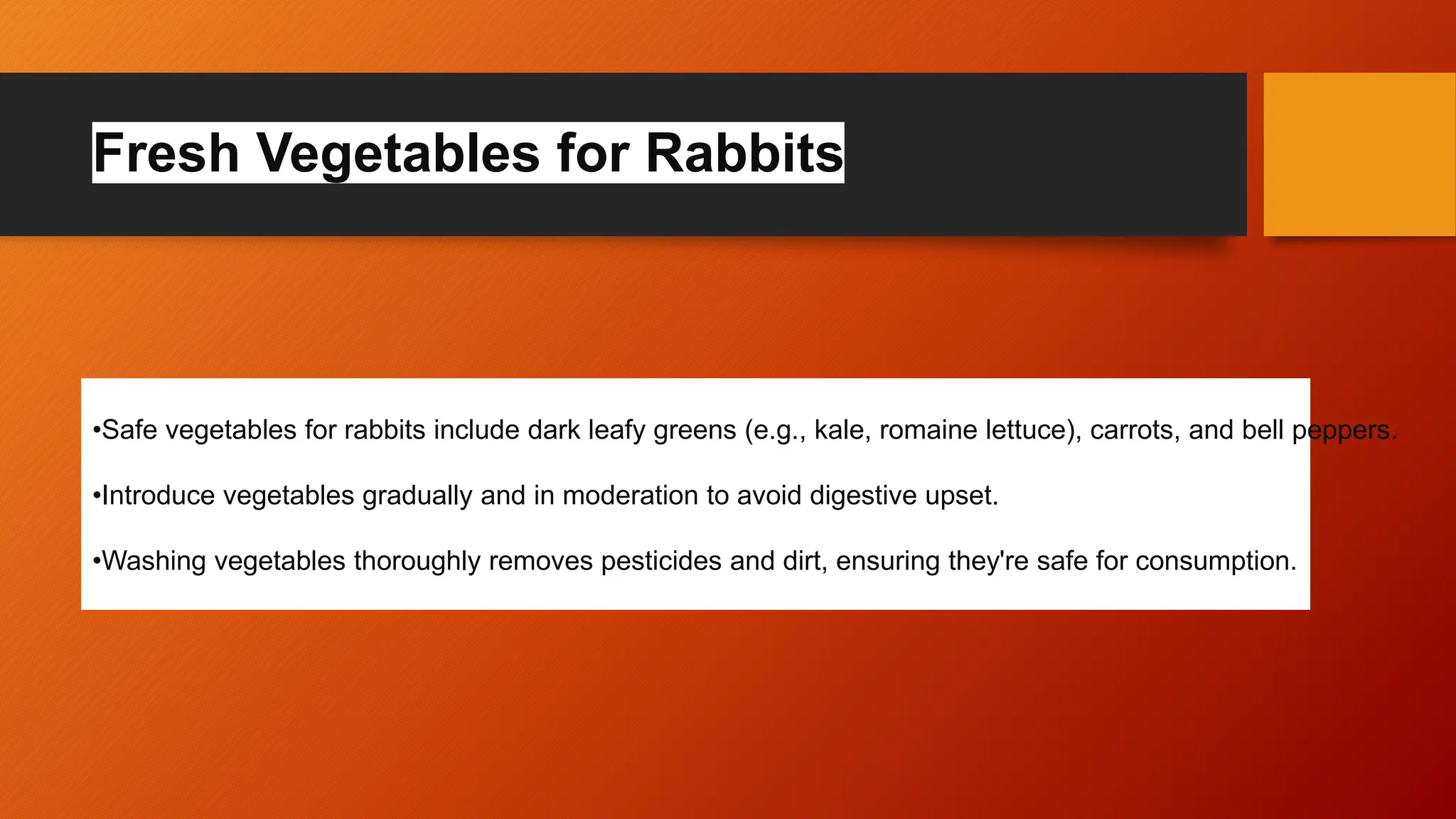 Optimal Rabbit Diet. what bunnie can eat | PPT