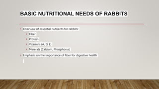 Optimal Rabbit Diet. what bunnie can eat | PPT