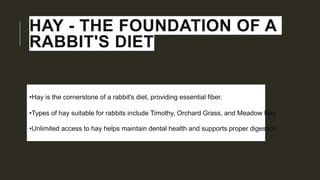 Optimal Rabbit Diet. what bunnie can eat | PPT