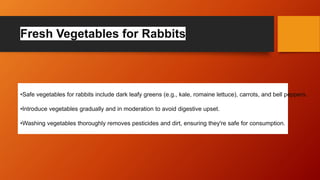 Optimal Rabbit Diet. what bunnie can eat | PPT