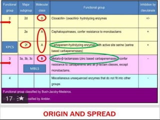 Optimisation of antibiotics | PPTX