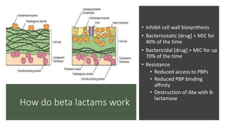 Optimising beta lactam therapy | PPT