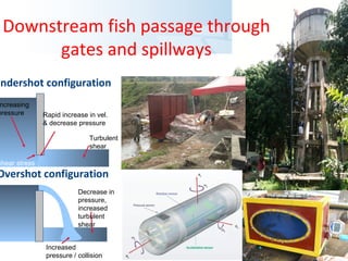 Optimising fish friendly criteria for incorporation into the design of ...