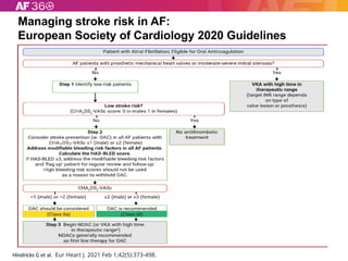 optimising stroke prevention in AF translating evidence into clinical ...