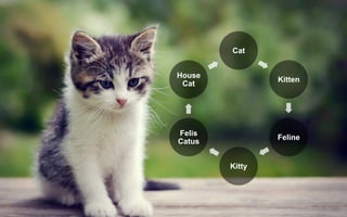 Metadata & Taxonomy: The Foundation for Content and Digital Asset ...