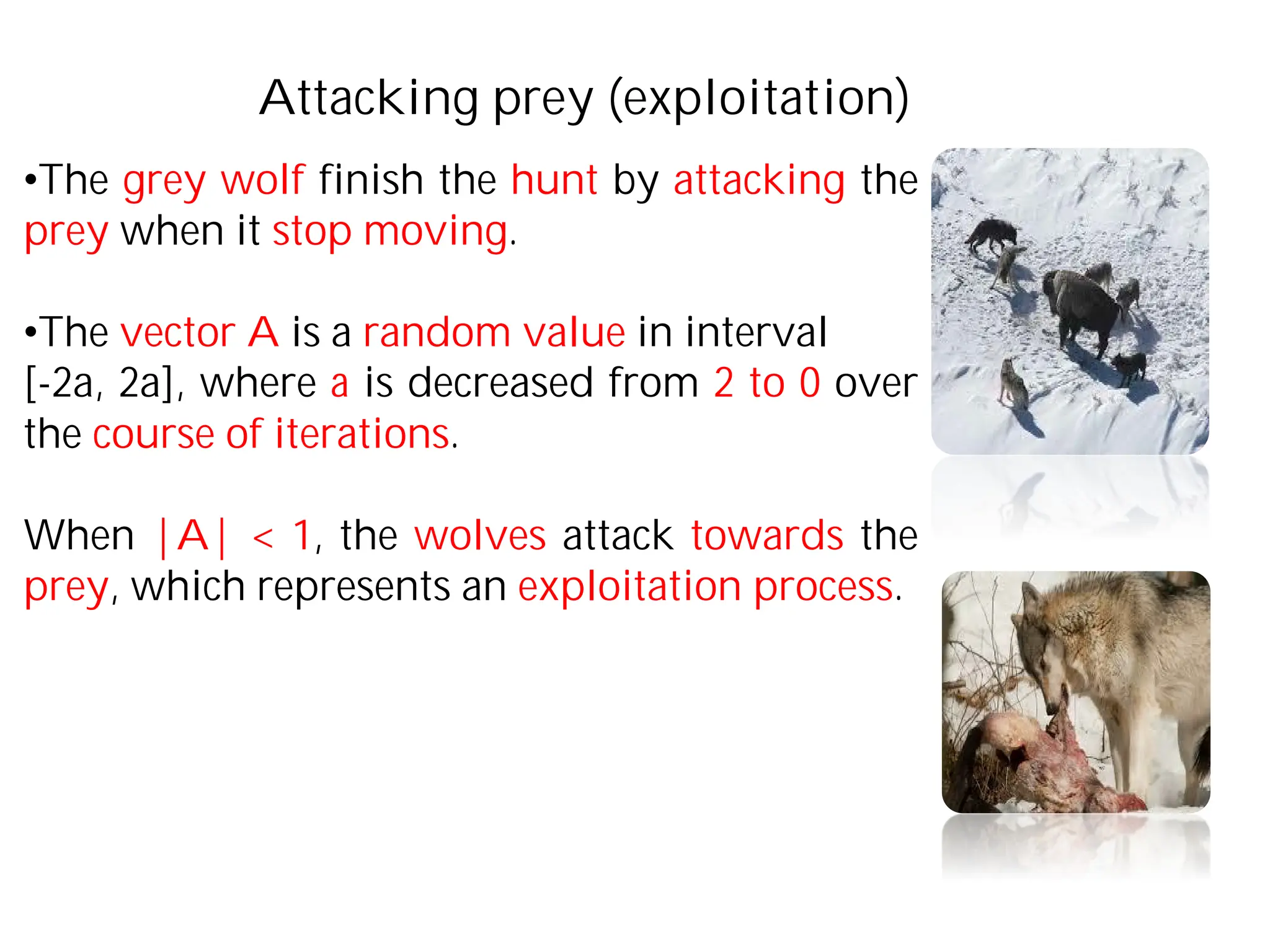 swarm pso and gray wolf Optimization.pdf