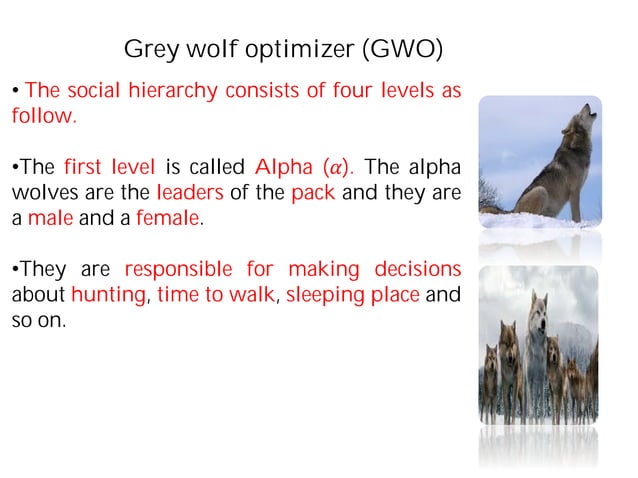 swarm pso and gray wolf Optimization.pdf | Dogs | Pets