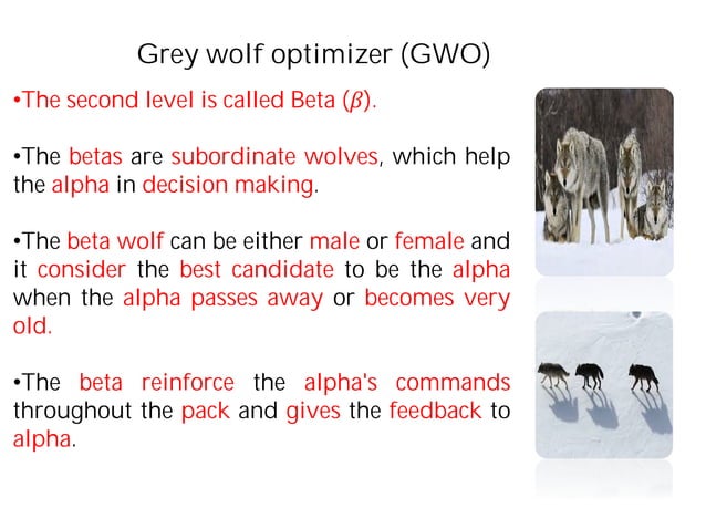swarm pso and gray wolf Optimization.pdf | Dogs | Pets