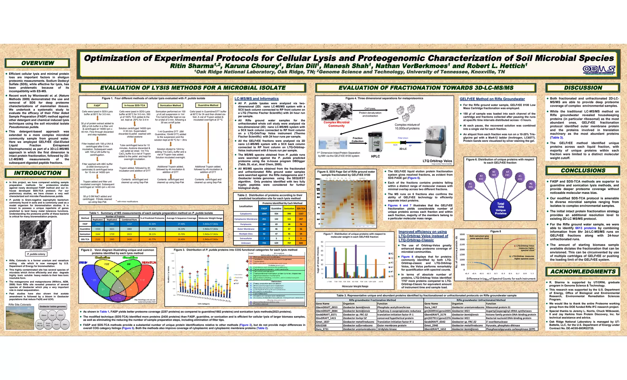 Optimization of experimental protocols for cellular lysis | PDF