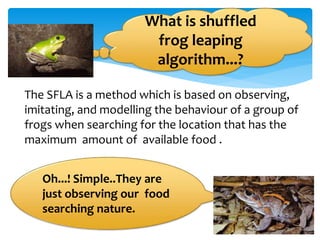 Optimization Shuffled Frog Leaping Algorithm | PPTX