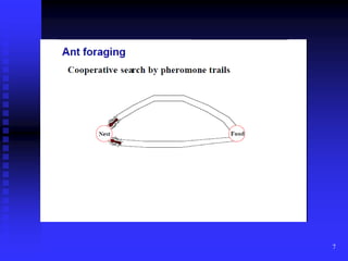 Optimization by Ant Colony Method | PPT