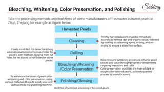 Optimization Process, Identification And Maintenance Of Pearls.pptx